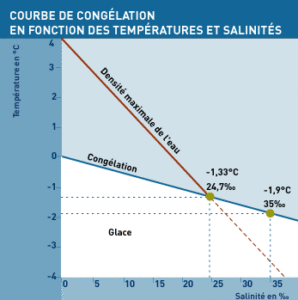 Encyclopédie polaire – Banquise : glace de mer - polarpod